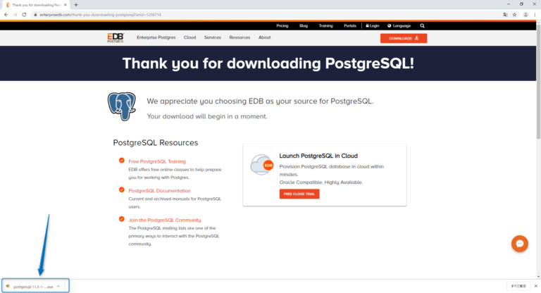 【postgresql】windowsへpostgresql11のインストール Postgresweb ポスグレウェブ