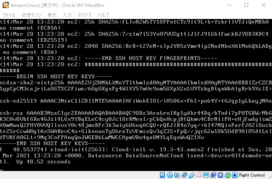 VirtualBoxにAmazon Linux 2をインストールする方法（環境構築方法） | PostgresWeb - ポスグレウェブ